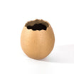 Ceramic Egg Shell Bowl - Blackbrdstore