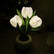 Led Tulip Table Lamp With Pot - Blackbrdstore