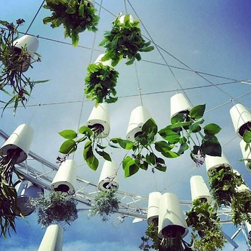 Upside-down Aerial Flower Pot - Blackbrdstore